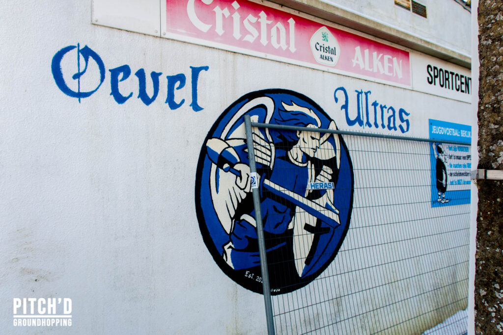 Blauwvoet Oevel staat zijn mannetje tussen Geel en Westerlo | In de Hekken